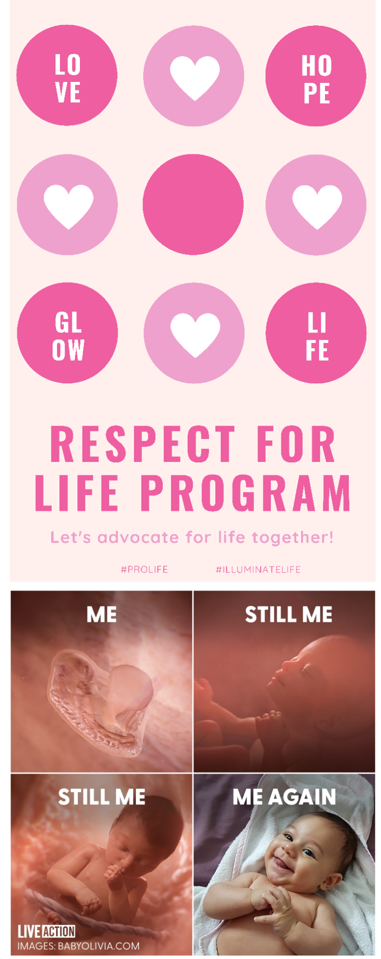 Logo - R4L - Mount Notre Dame High School